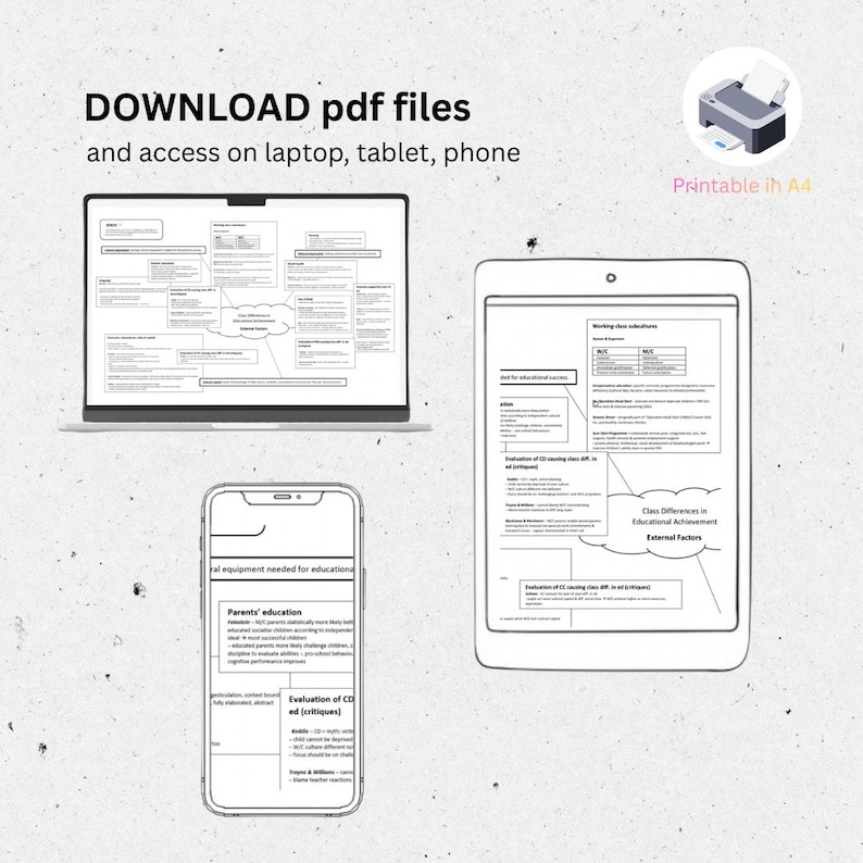 AQA A-level Sociology Mindmaps: Class, Ethnic, Gender Differences in ...