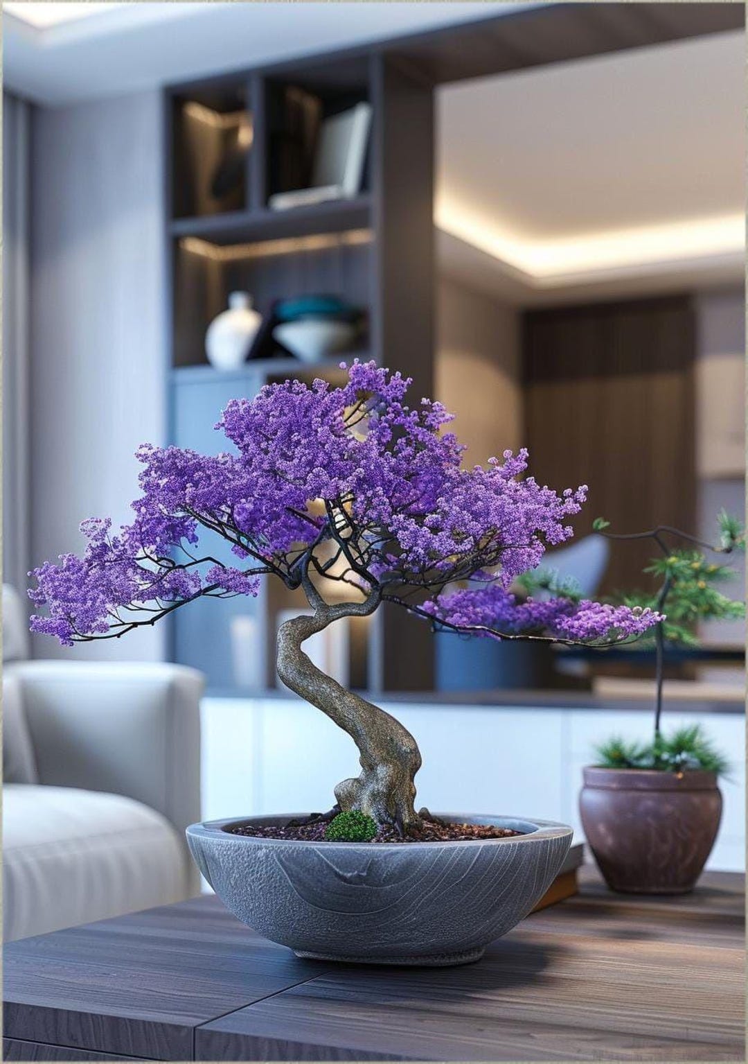 Jacaranda Mimosifolia Bonsai Tree Seeds – 300 Seeds With Growing - Etsy
