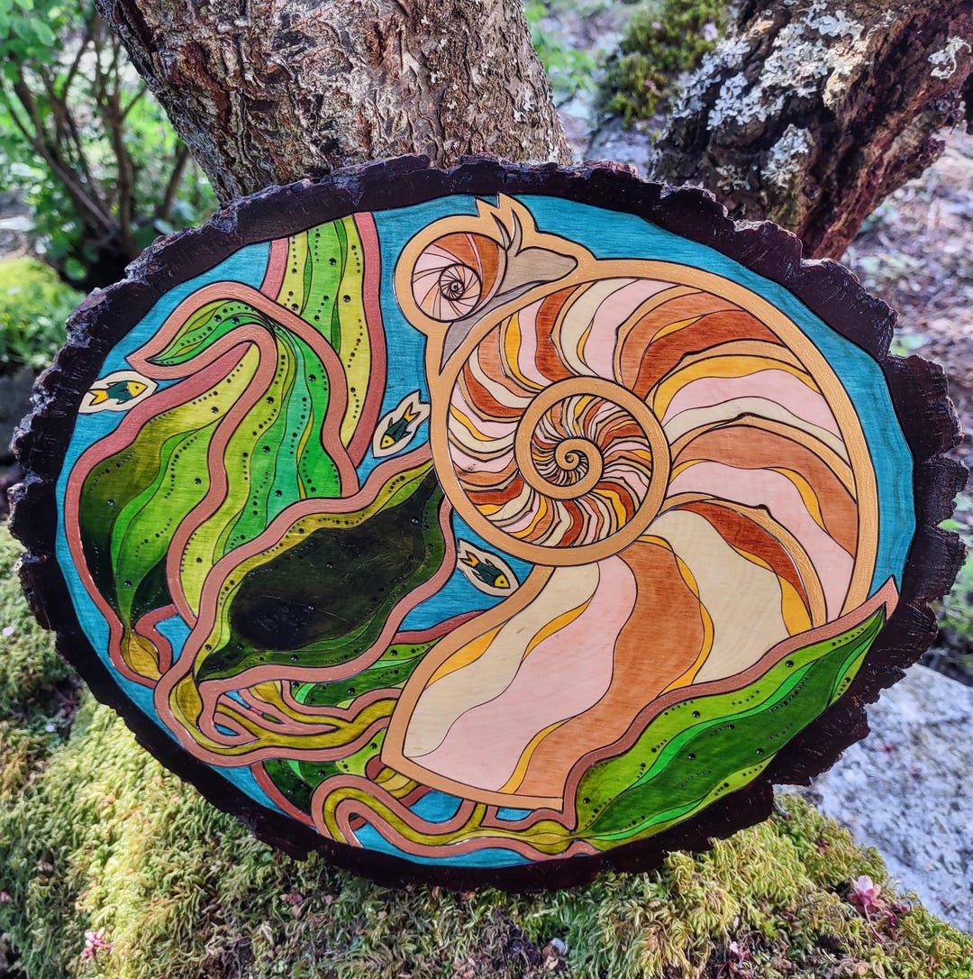 Nautilus With Baby Moon Snail -- Wood Burning -- Hand Burnt Pyrography ...
