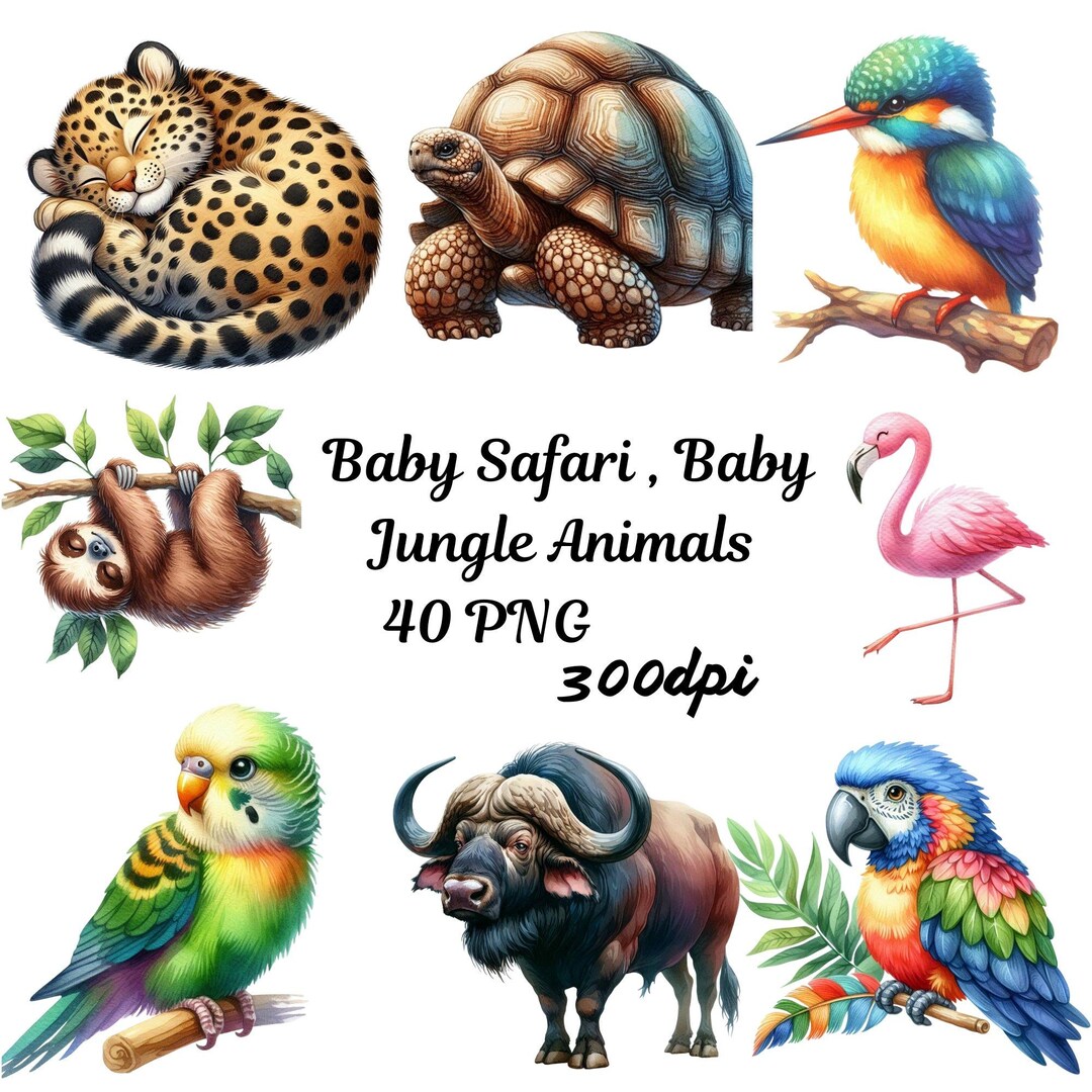 Baby Safari Animals Clipart | Nursery Decor PNG Bundle - Etsy
