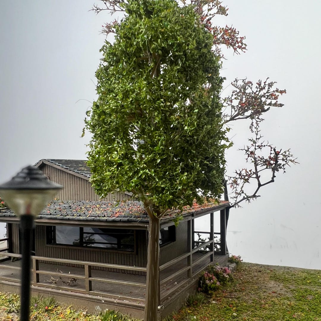 Miniature Plastic Phoebe Tree for Model Scenery & Diorama - Etsy