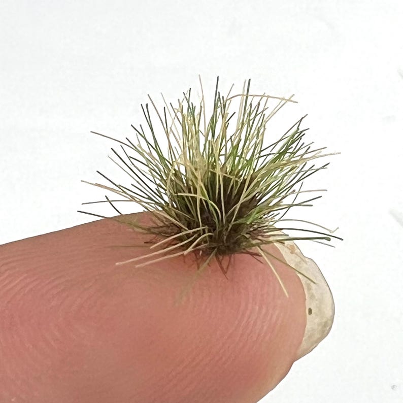 120pcs Model Grass Tufts - Self-adhesive Static Grass for Wargaming ...