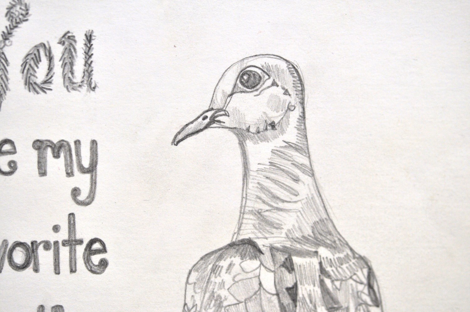 Mourning Dove You Are My Favorite Bird Original Drawing, Mourning Dove ...