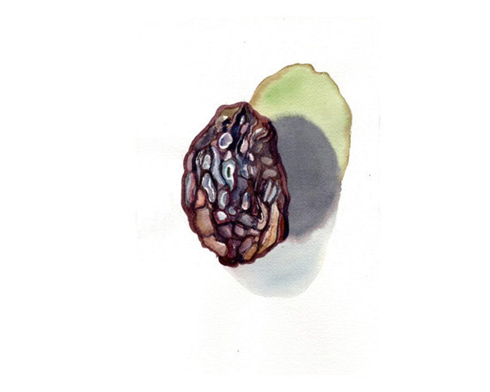 Raisin Watercolor Painting Original Artwork - Etsy