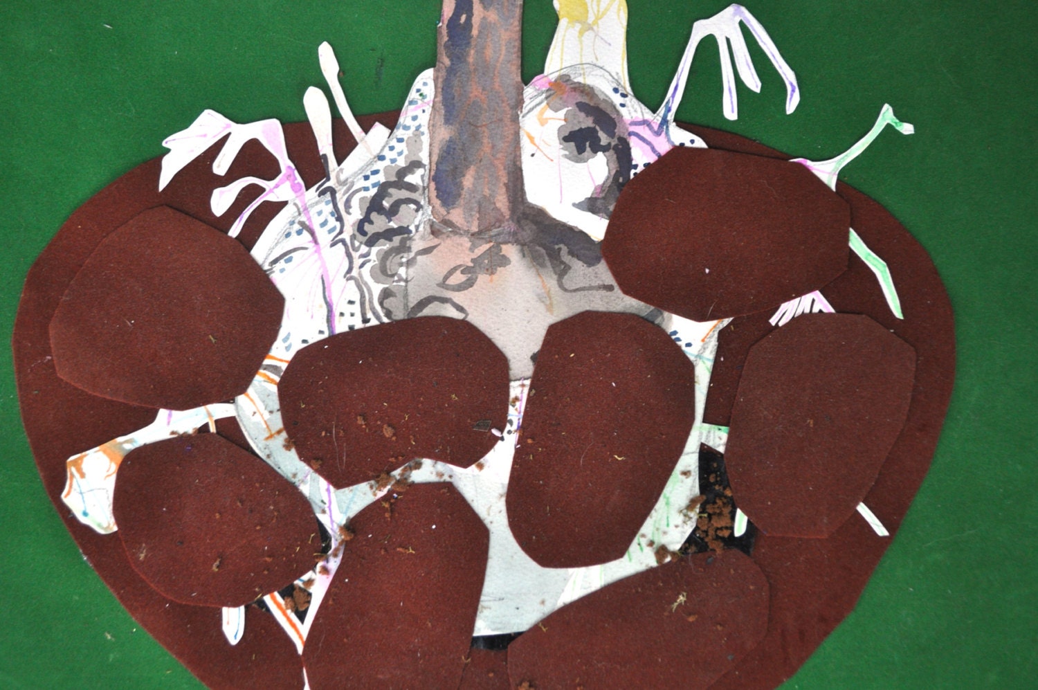 Tree Root Ball Collage Heart Shaped Tree Root Ball Tree Illustration ...