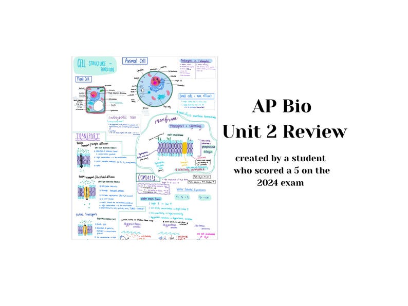 AP Biology Unit 2 Review, AP Bio Study Guide, Ap Bio - Etsy