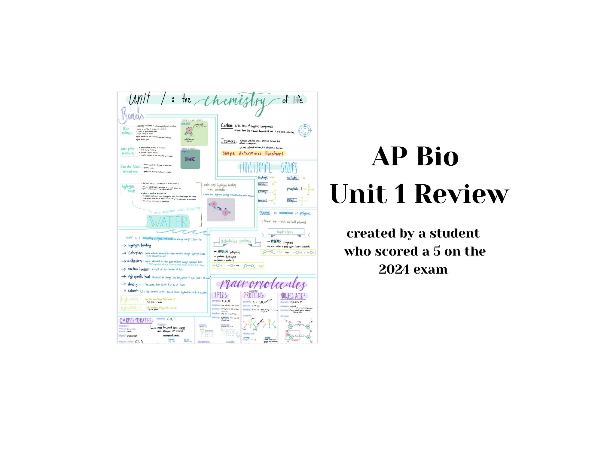 AP Biology Unit 1 Review, AP Bio Review, Biology 1 Review Guide - Etsy