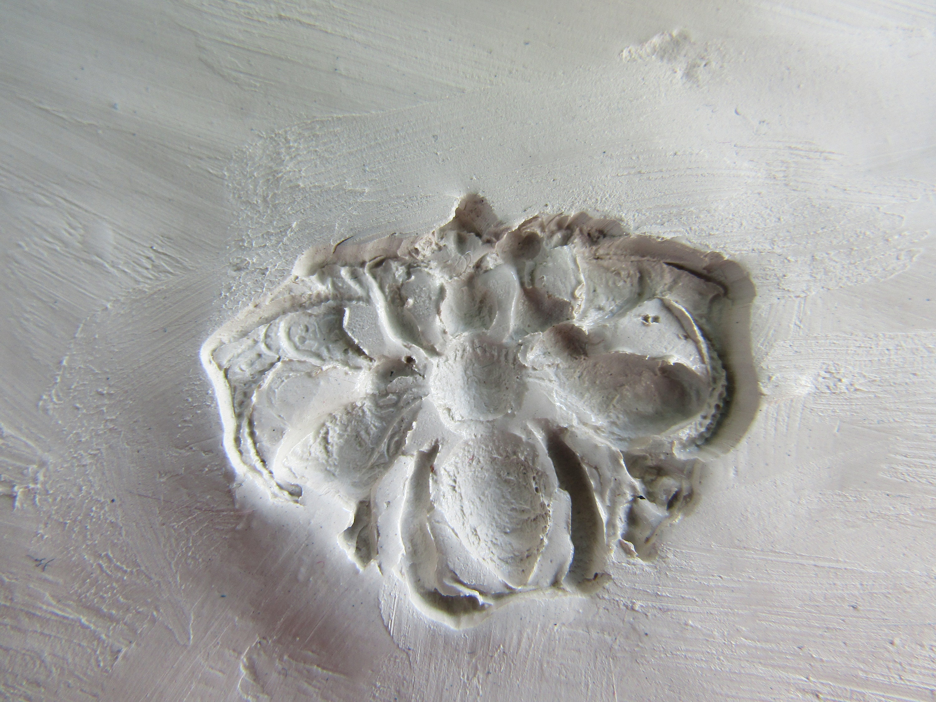 Clay Stamps - Fly Stamp, Flying Insect Stamp, Insect Stamp, Pottery ...