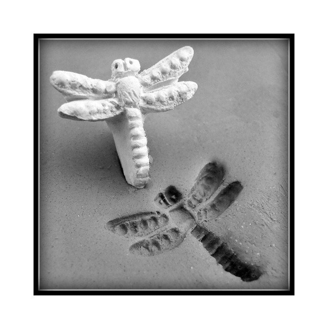 Bisque Clay Stamp, Dragon Fly, for Stamping on Stoneware Clay, Polymer ...