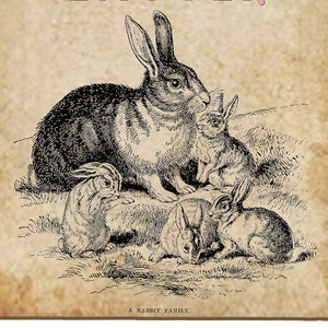 Easter Rabbit Gift Tags Digital French Rabbits Vintage Easter Digital ...