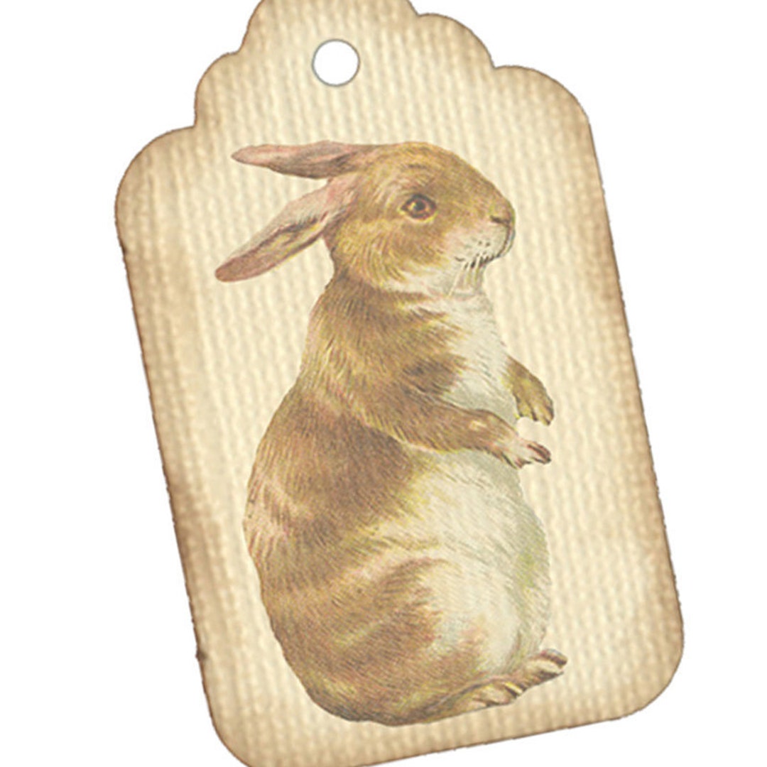 Cute Bunny Gift Tags Digital Gift Tags Easter Rabbit Tags Printable ...