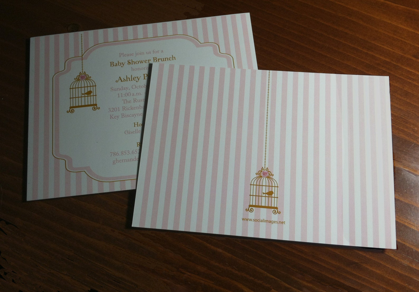 Pink Bird Cage BABY SHOWER INVITATION Printed or | Etsy