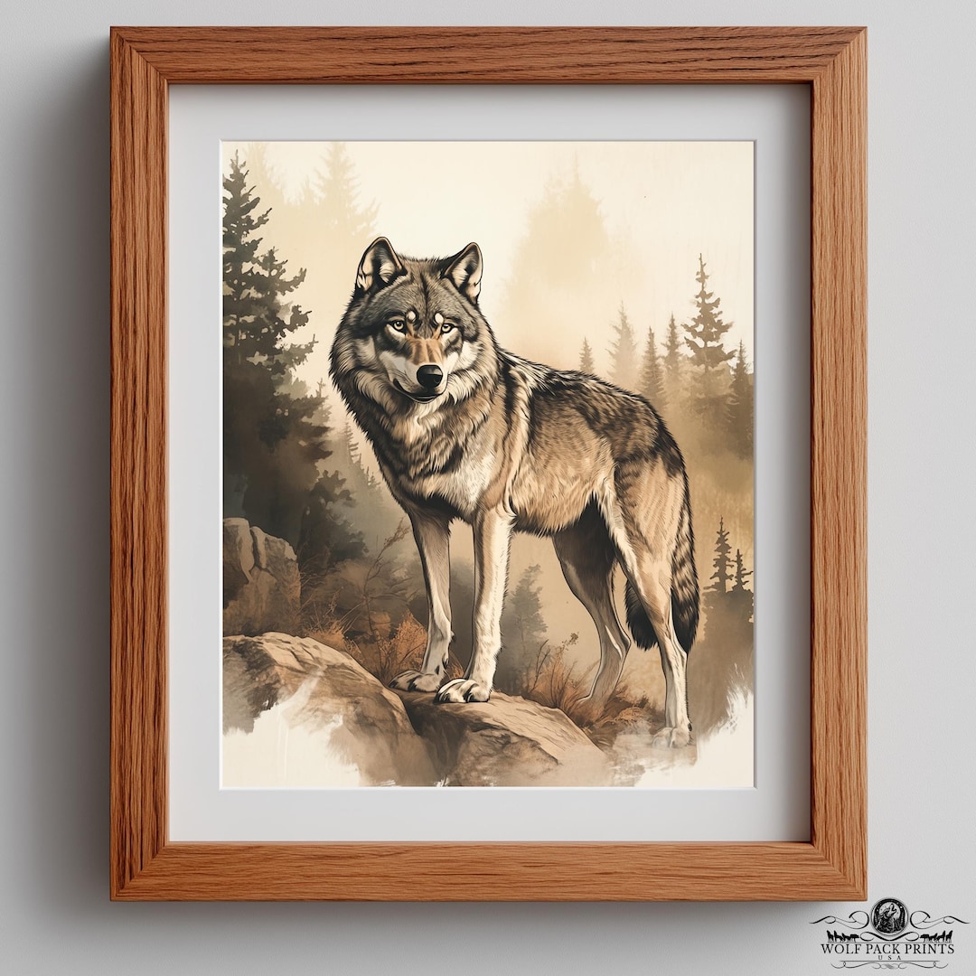 Rustic Gray Wolf Watercolor Painting - Moody Wildlife Art Print ...