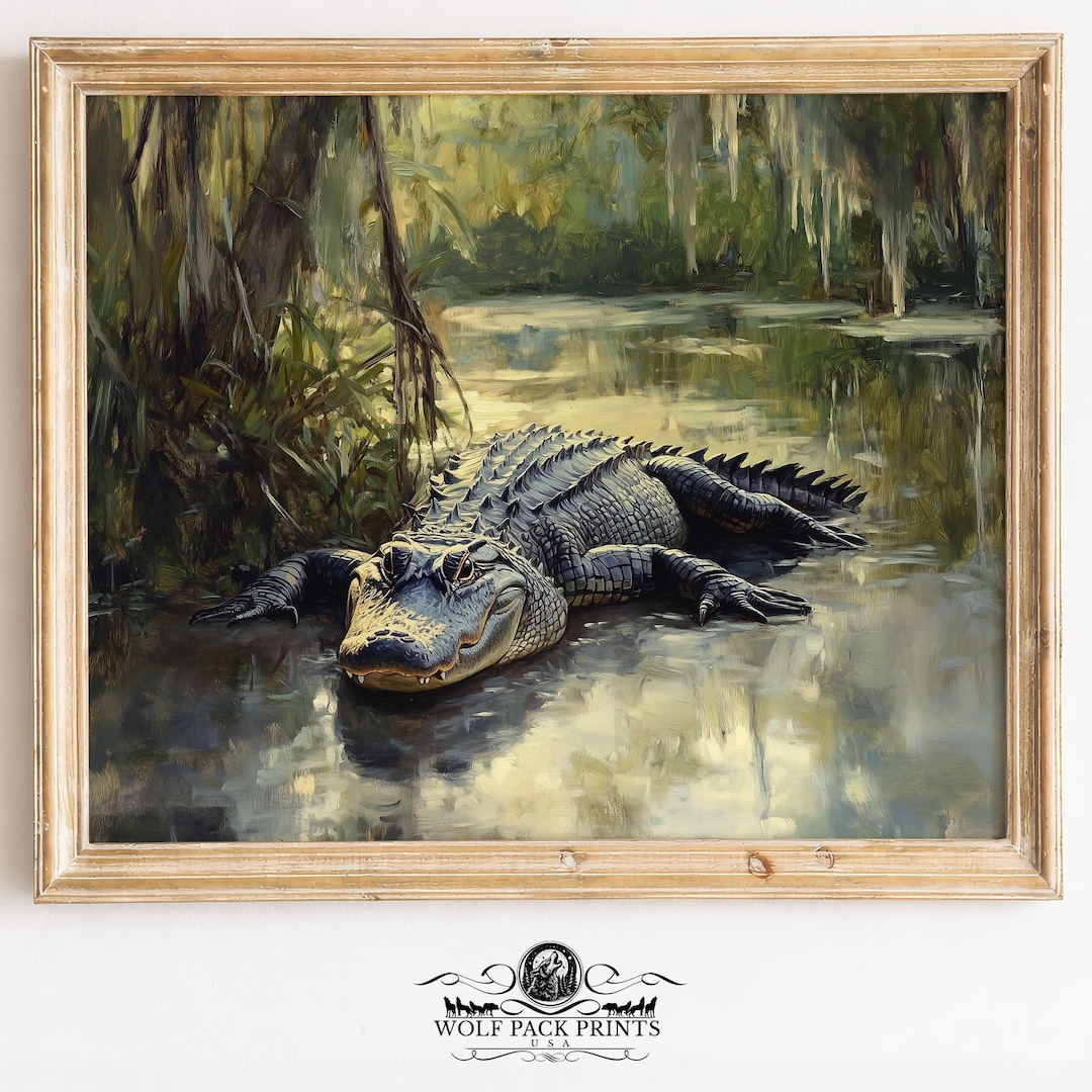 Moody American Alligator in Everglades Swamp - Rustic Wildlife Art ...