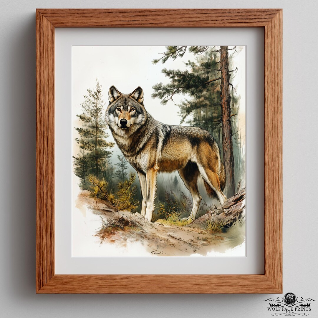 Moody Gray Wolf in Historic Forest - Printable Vintage Natural History ...