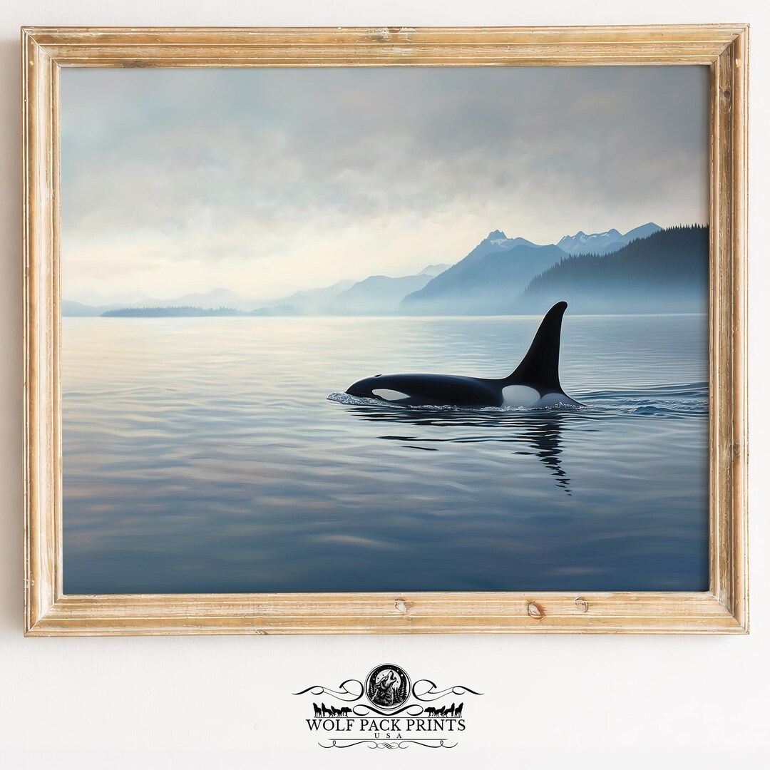 Orca in Calm Puget Sound - Pacific Northwest Coastal Art, Serene Moody ...