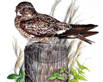 CryoftheLoonStudio - Etsy