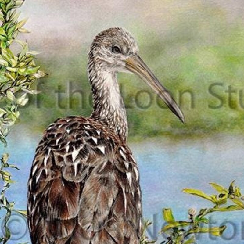 CryoftheLoonStudio - Etsy