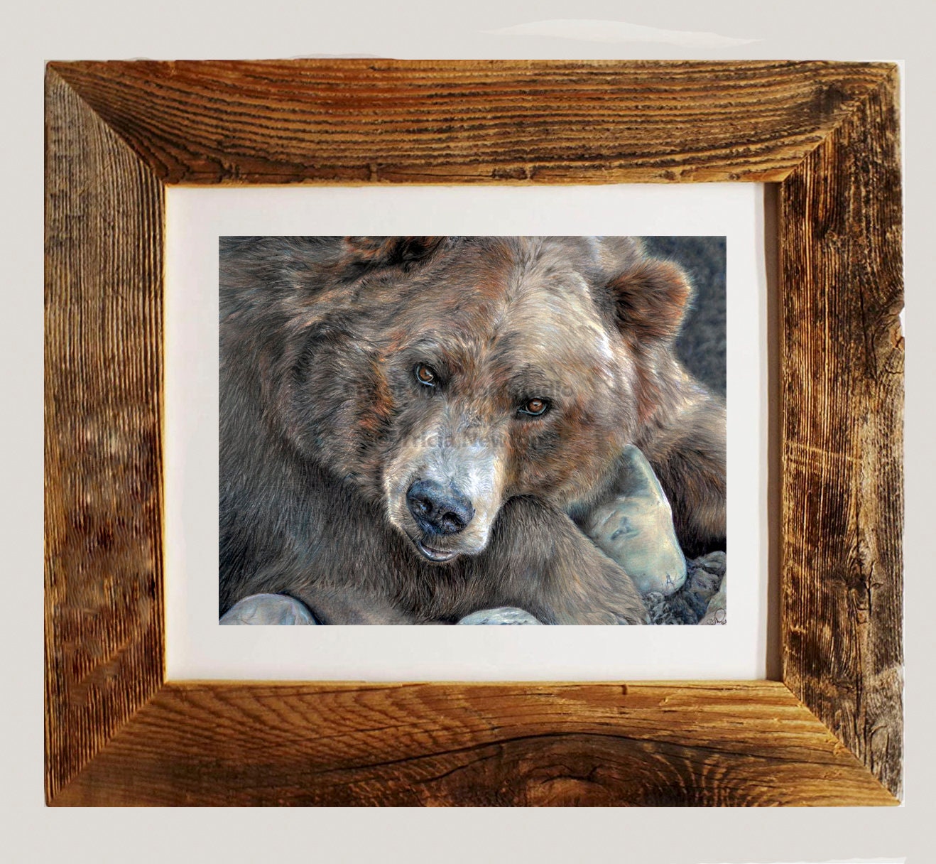 Grizzly Bear Original Colored Pencil Art Print - Etsy