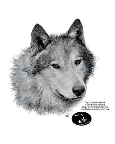 Grey Wolf Colored Pencil Drawing Reproduction - Etsy