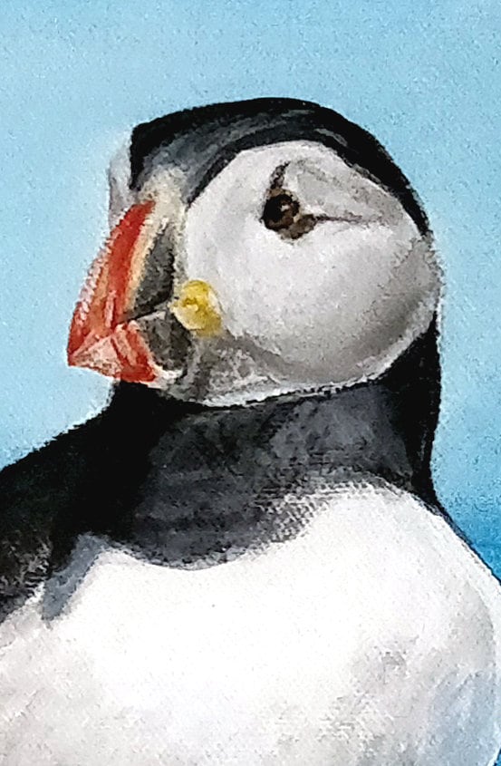 Puffins Original Painting Art Print - Etsy
