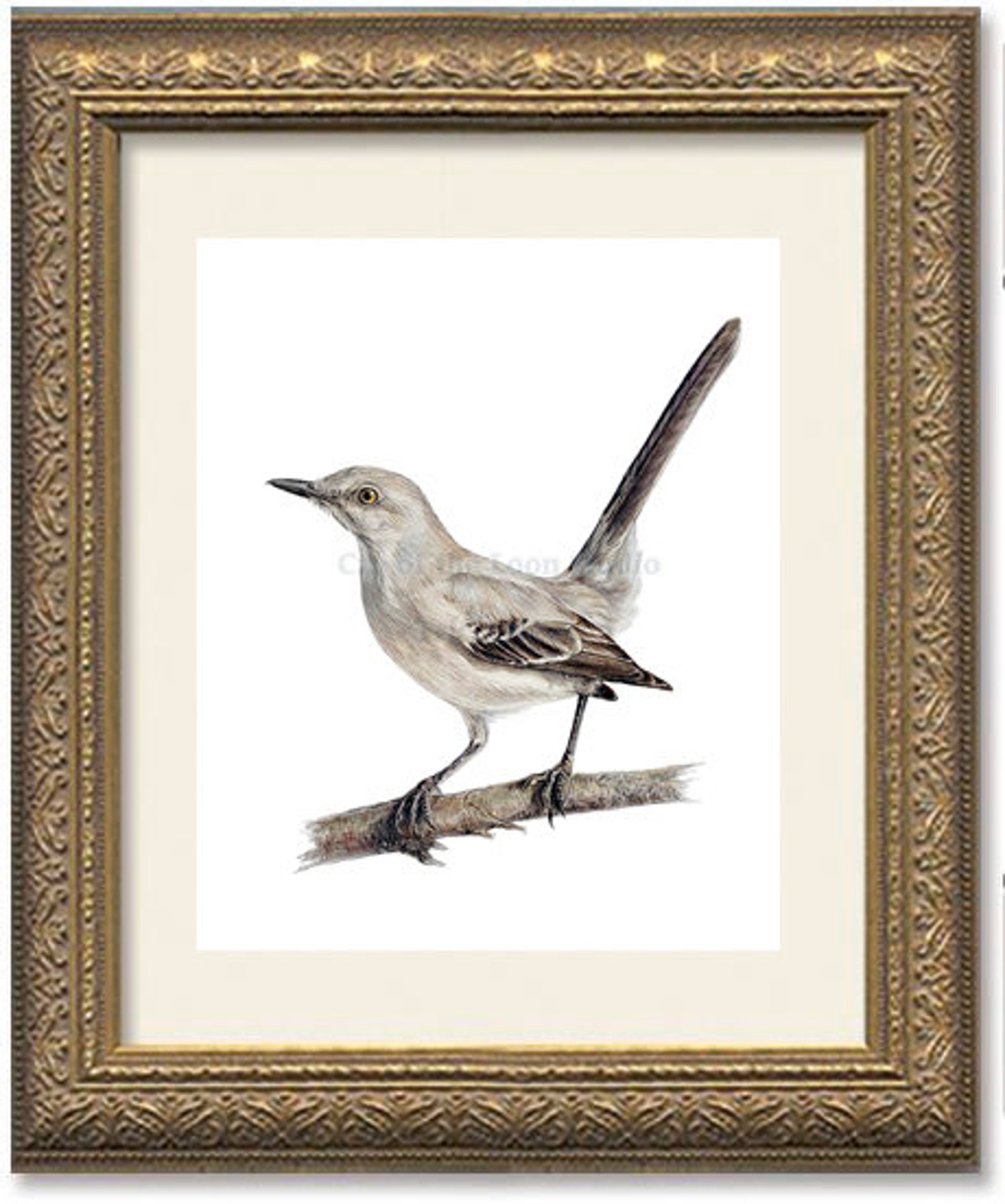 Mockingbird Original Colored Pencil Drawing Print - Etsy