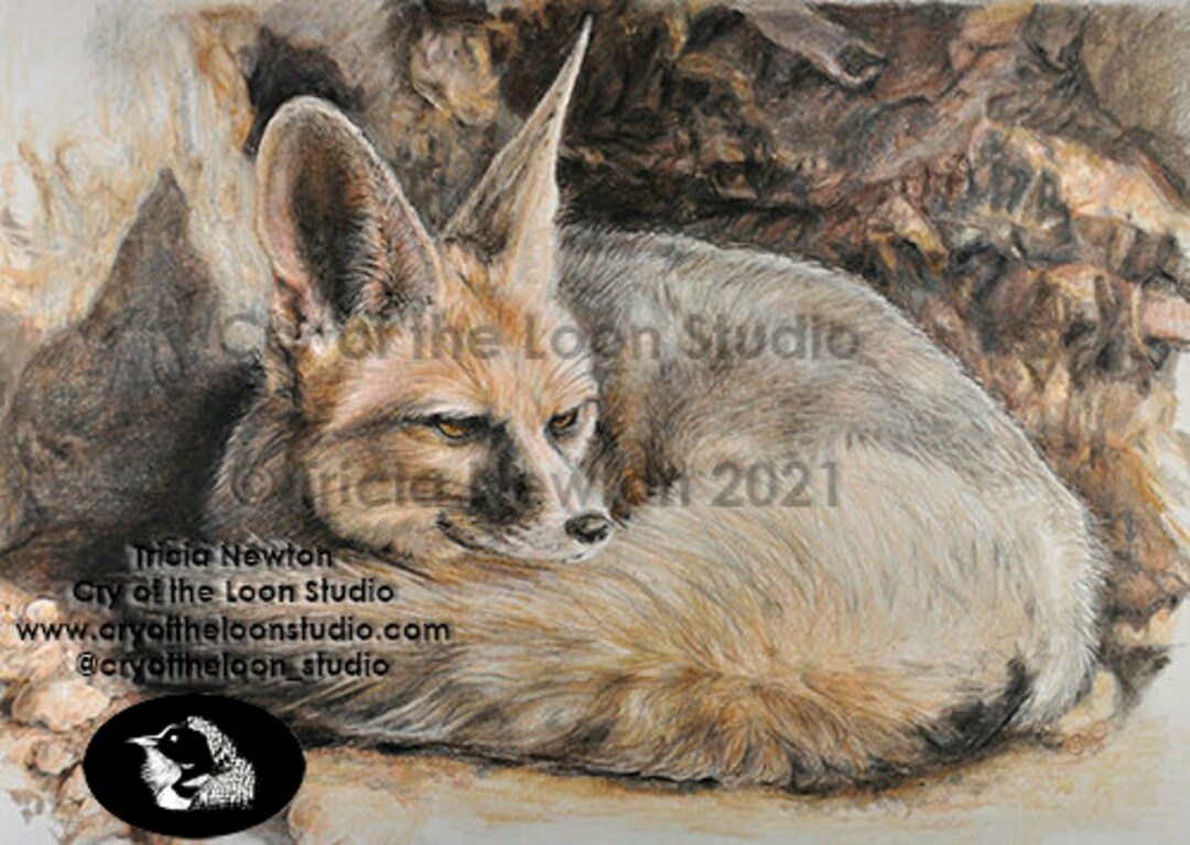Fox Original Colored Pencil Drawing Art Reproduction - Etsy