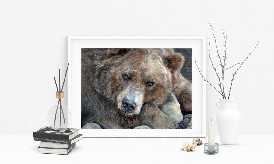 Grizzly Bear Original Colored Pencil Art Print - Etsy