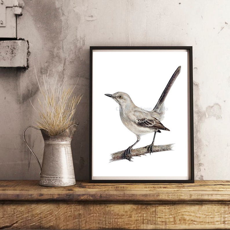Mockingbird Original Colored Pencil Drawing Print | Etsy
