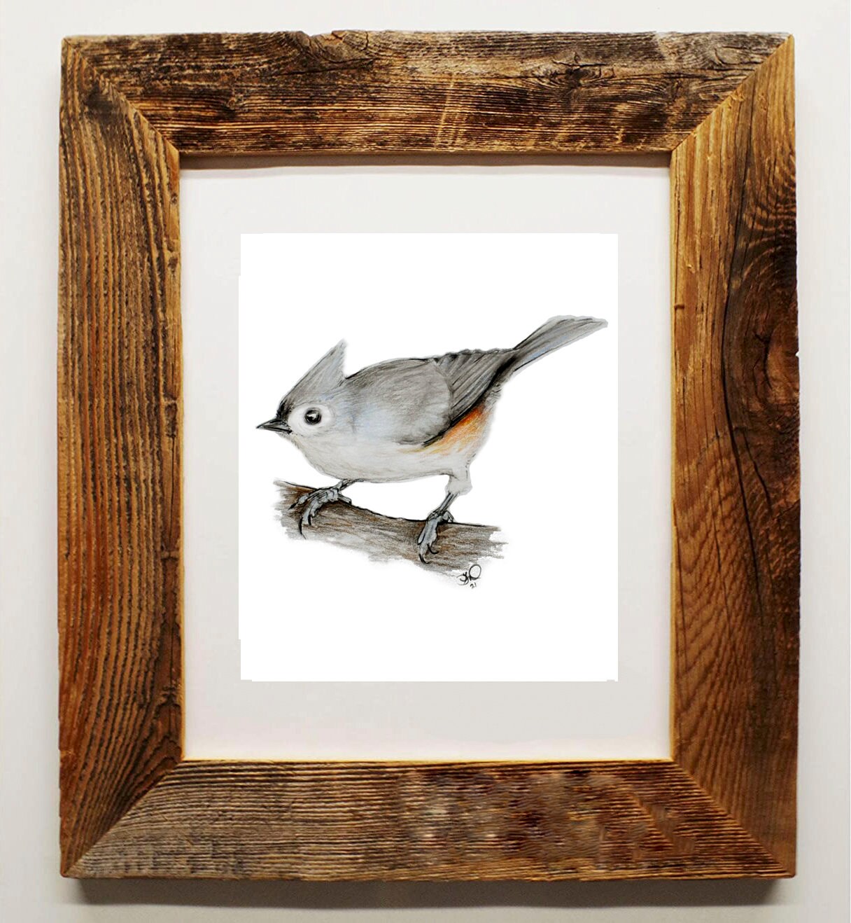 Original Tufted Titmouse Colored Pencil Drawing Reproduction - Etsy