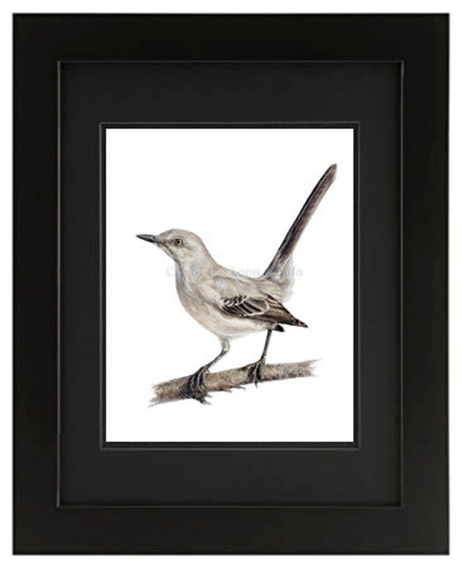Mockingbird Original Colored Pencil Drawing Print | Etsy