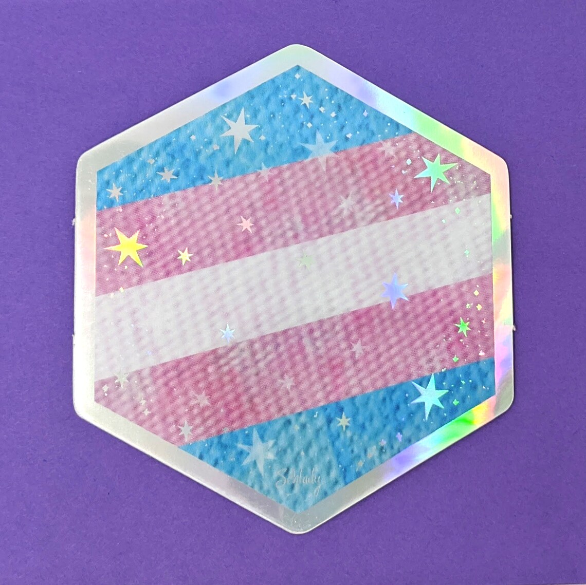 Starry Trans Pride Flag Holographic Hexagon Sticker - Etsy