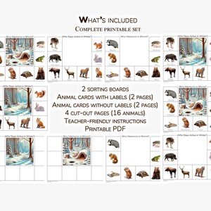 Winter Animals Sorting Activity | Who Hibernates & Who Stays Active ...