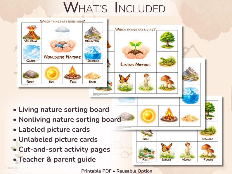 Living & Nonliving Things Sorting Activity | Preschool Science ...
