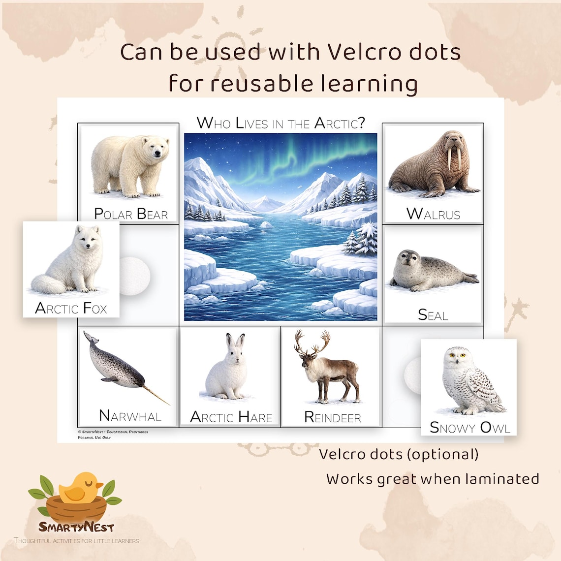 Arctic Animals Learning Pack | Preschool Activities (printable PDF ...