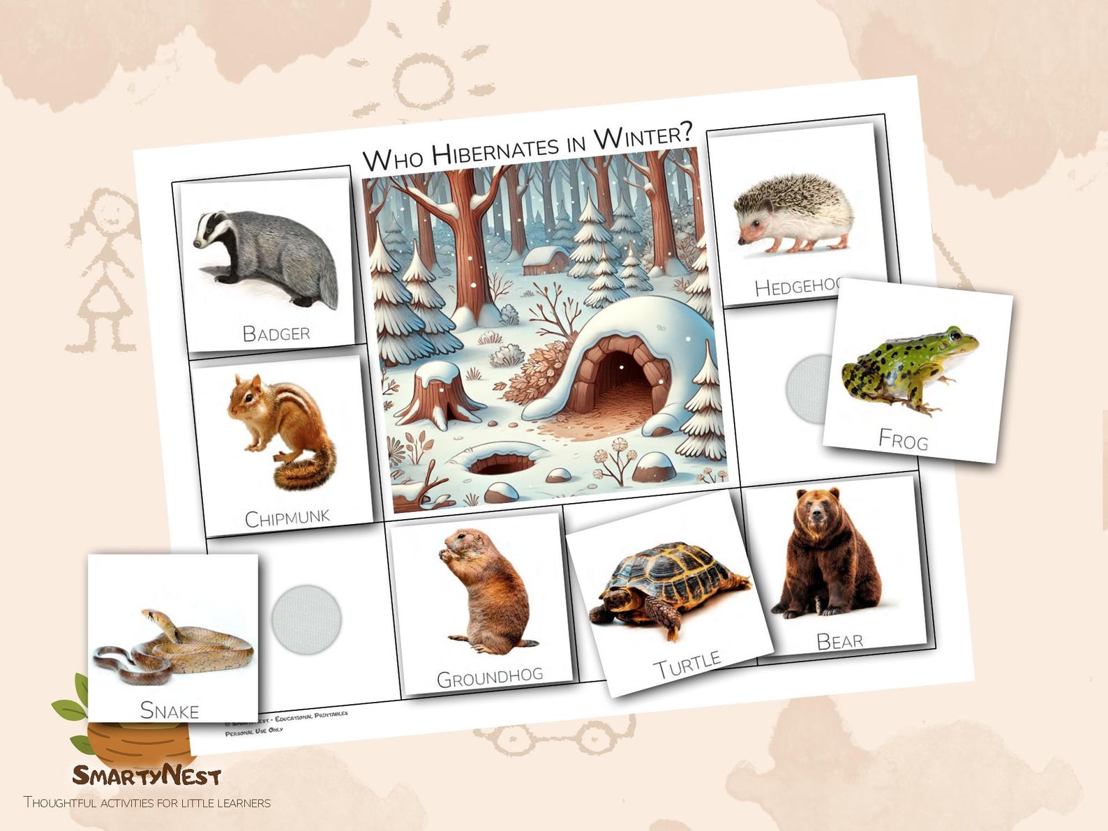 Winter Animals Sorting Activity | Who Hibernates & Who Stays Active ...