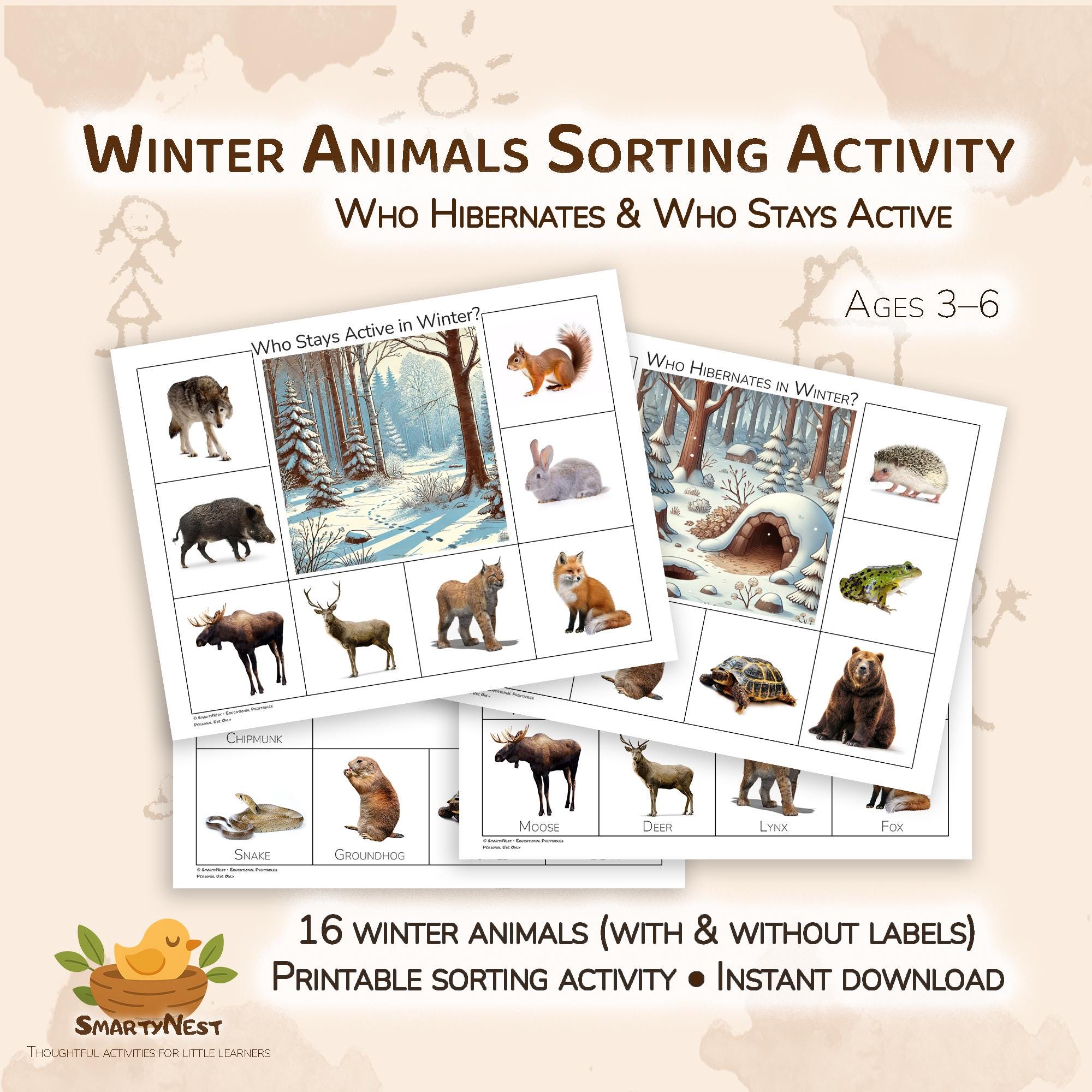 Winter Animals Sorting Activity | Who Hibernates & Who Stays Active ...