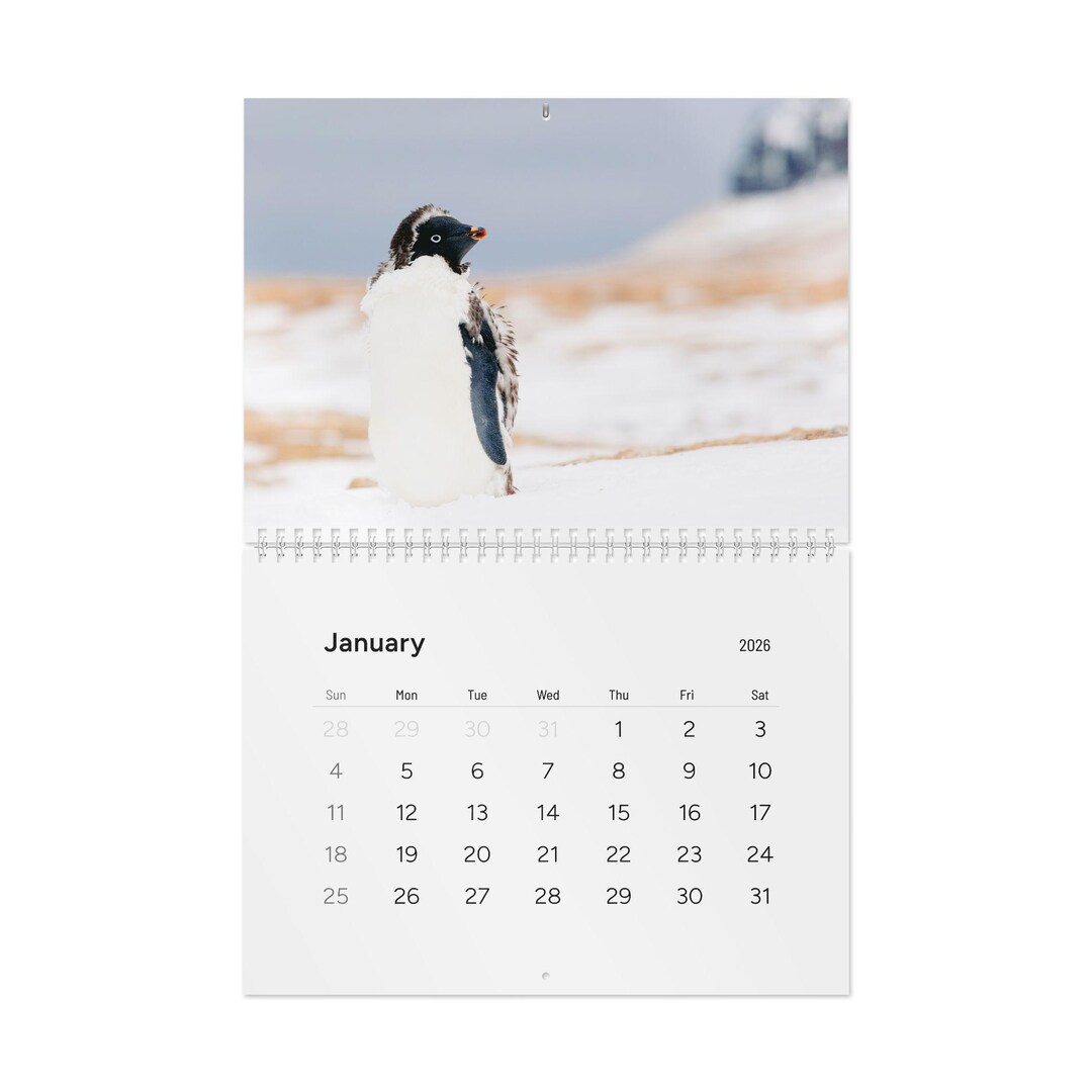Penguins of Antarctica Wall Calendar 2026 - Etsy