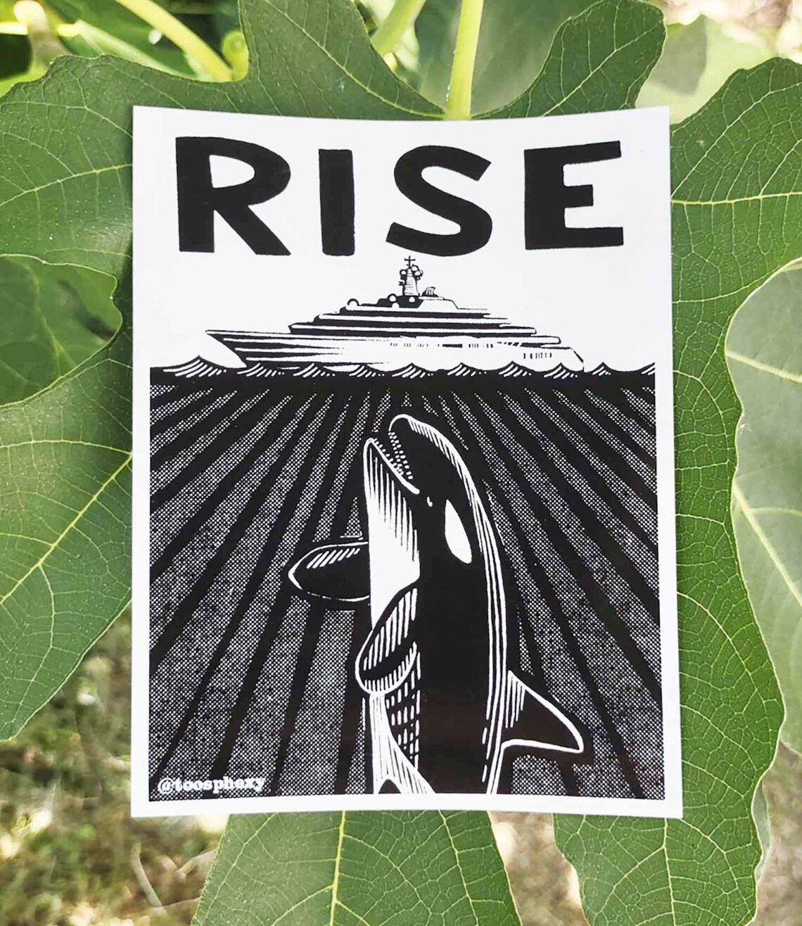 RISE Vinyl Sticker - Etsy