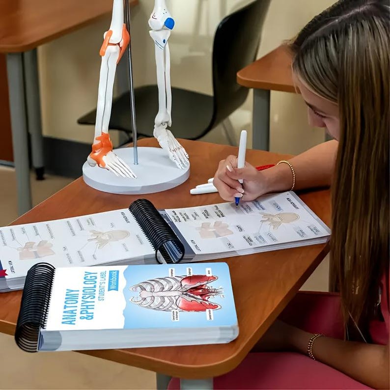 2026 Anatomy Label Workbook | Dry Wipe Human Anatomy Workbook | Anatomy ...