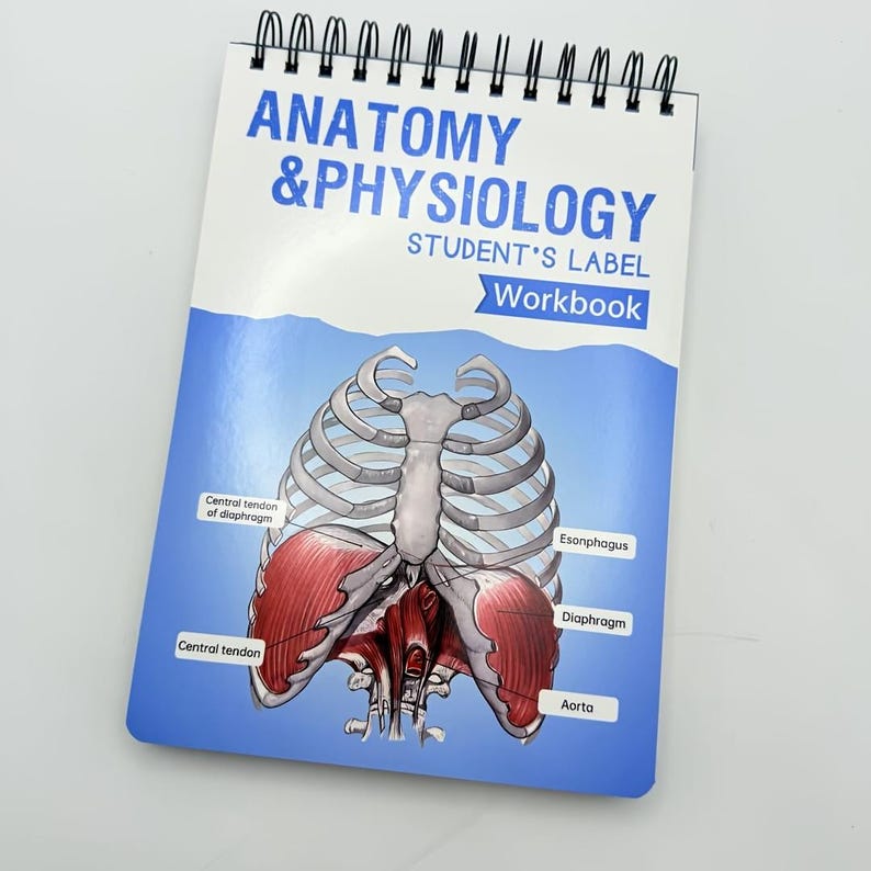 2026 Anatomy Label Workbook | Dry Wipe Human Anatomy Workbook | Anatomy ...