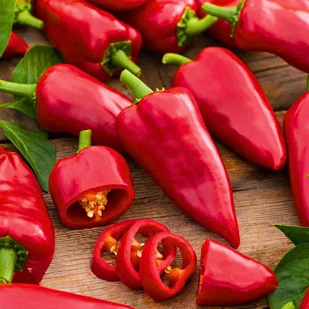 25 Piquillo Pepper Seeds | Red Sweet Vegetable, Garden Planting - Etsy