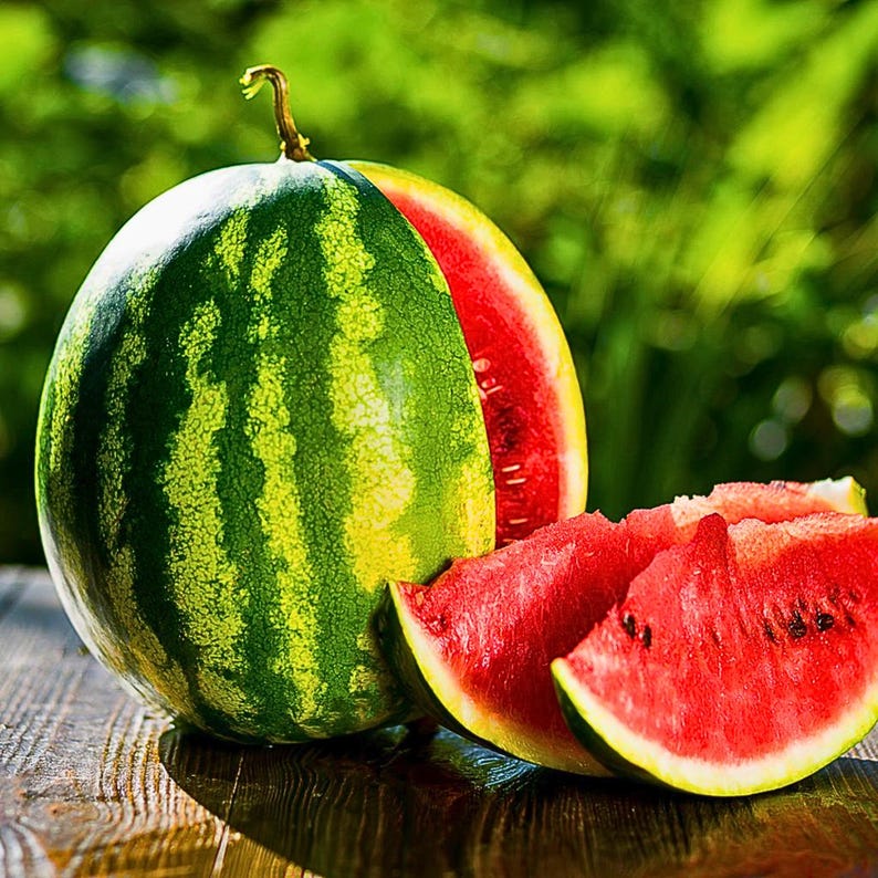 50 Secretariat Seedless-type Watermelon Seeds – Hybrid Sweet Red Flesh ...