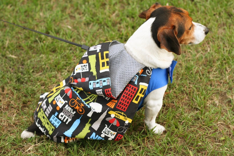 Cameron's Cape Set for Small Breed Dogs PDF Pattern Sizes - Etsy