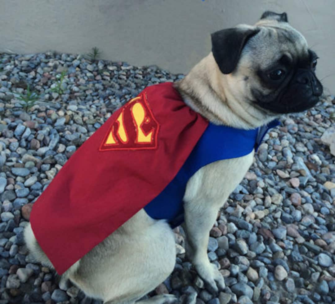 Cameron's Cape Set for Small Breed Dogs PDF Pattern Sizes XS to XL - Etsy