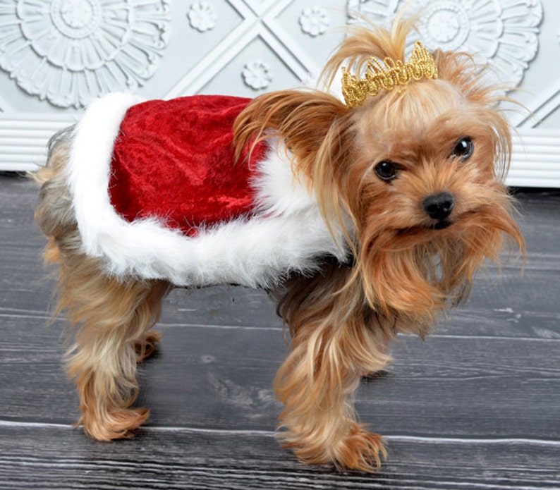 Cameron's Cape Set for Small Breed Dogs PDF Pattern Sizes XS to XL - Etsy