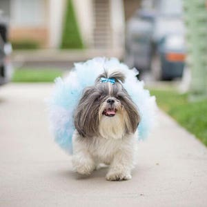 Miki's Rock Star Petti Tutu PDF Pattern Sizes Small and Large Breed ...