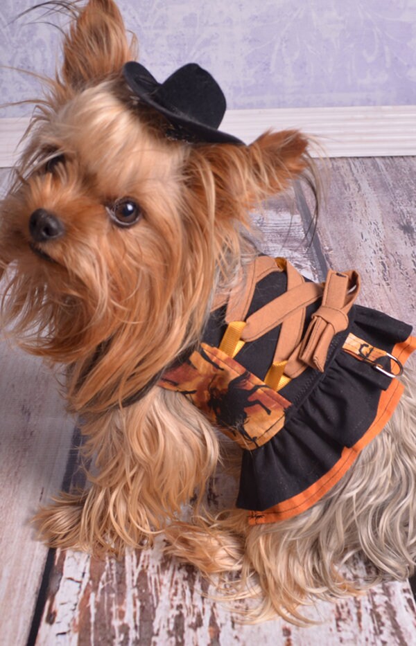 Charlotte's Corset-Style Small Breed Dog Harness Top PDF | Etsy