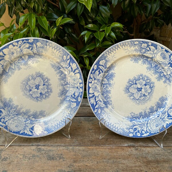 Antique French Transferware Plates - Etsy