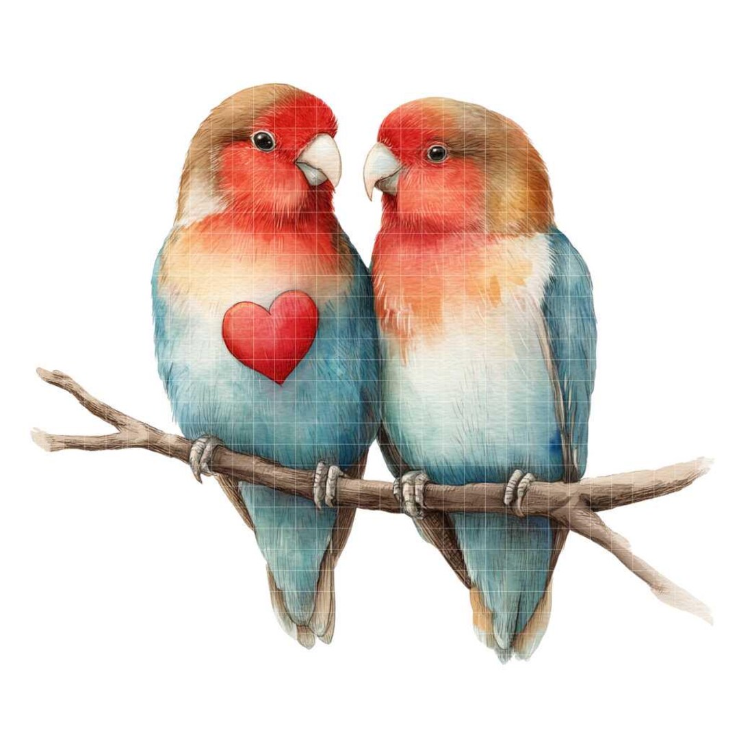 6 Valentine Birds Clipart, Watercolor Lovebirds, Romantic Birds ...